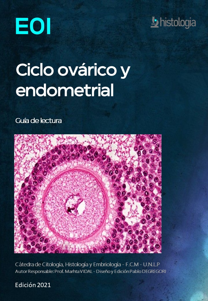 EMBRIOLOGIA :: GUIASDELECTURAHE